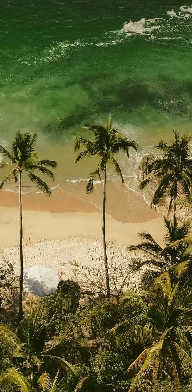 Unique eye catching nature dp for whatsapp