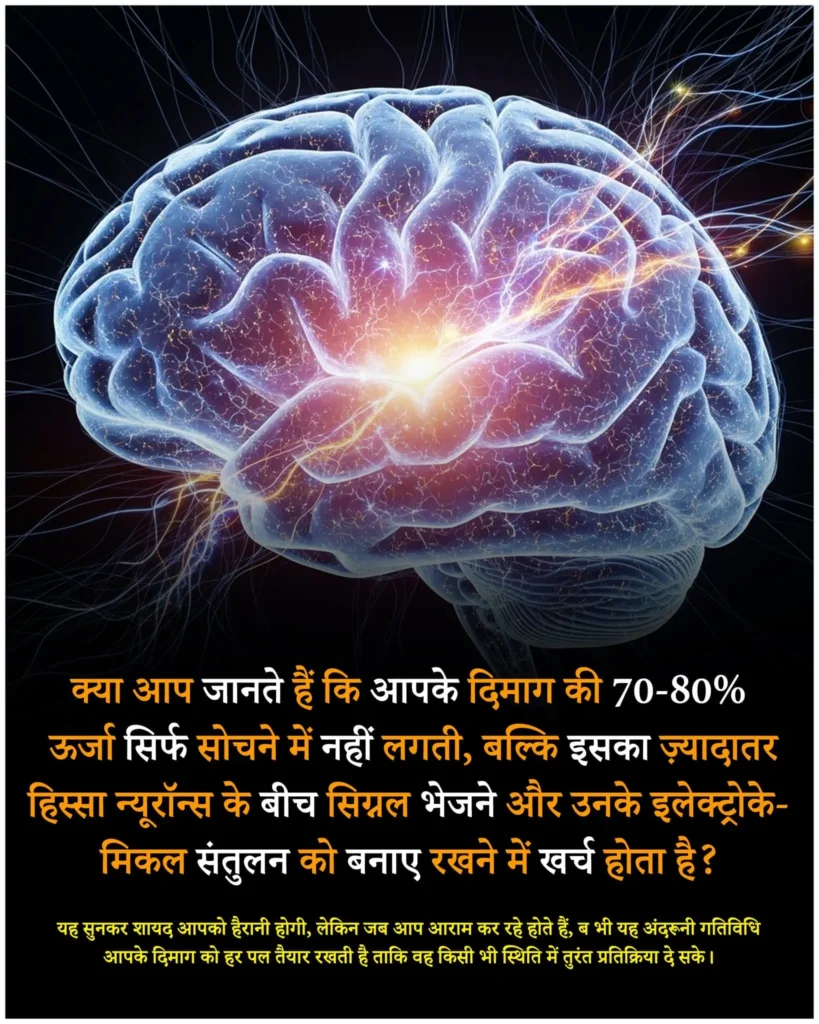 51+ Facts about Human Brain in Hindi | मानव मस्तिष्क के बारे में रोचक तथ्य