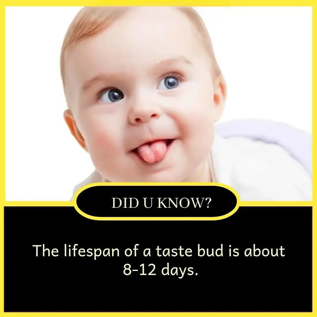 100+ Amazing True Facts in English – Daily Life Facts