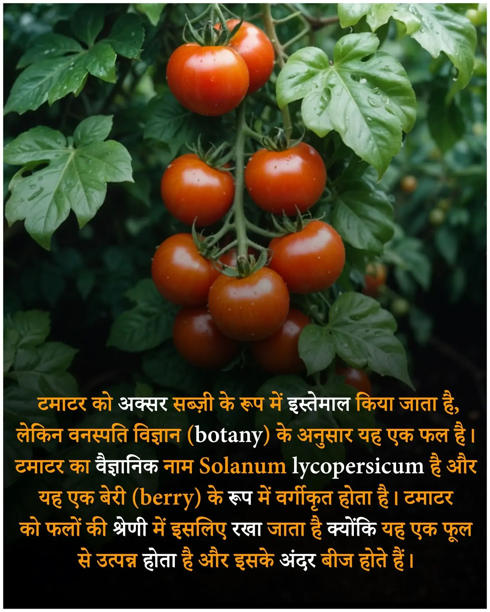 100+ Amazing Facts about Vegetables in Hindi – सब्ज़ियो के रोचक तथ्य