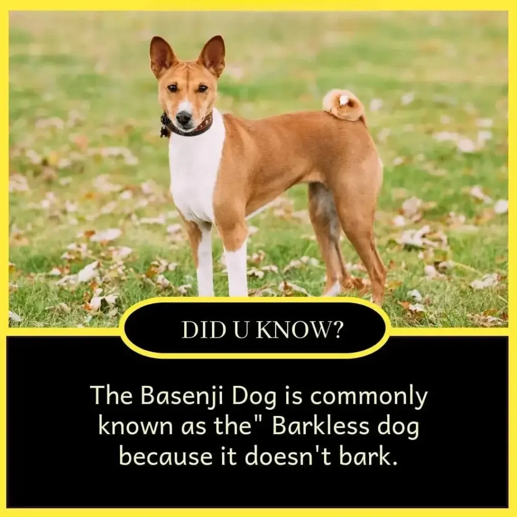 100+ Interesting Fun Facts for Student - True Facts