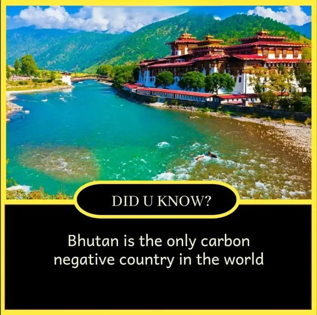 100+ Interesting Fun Facts for Student - True Facts