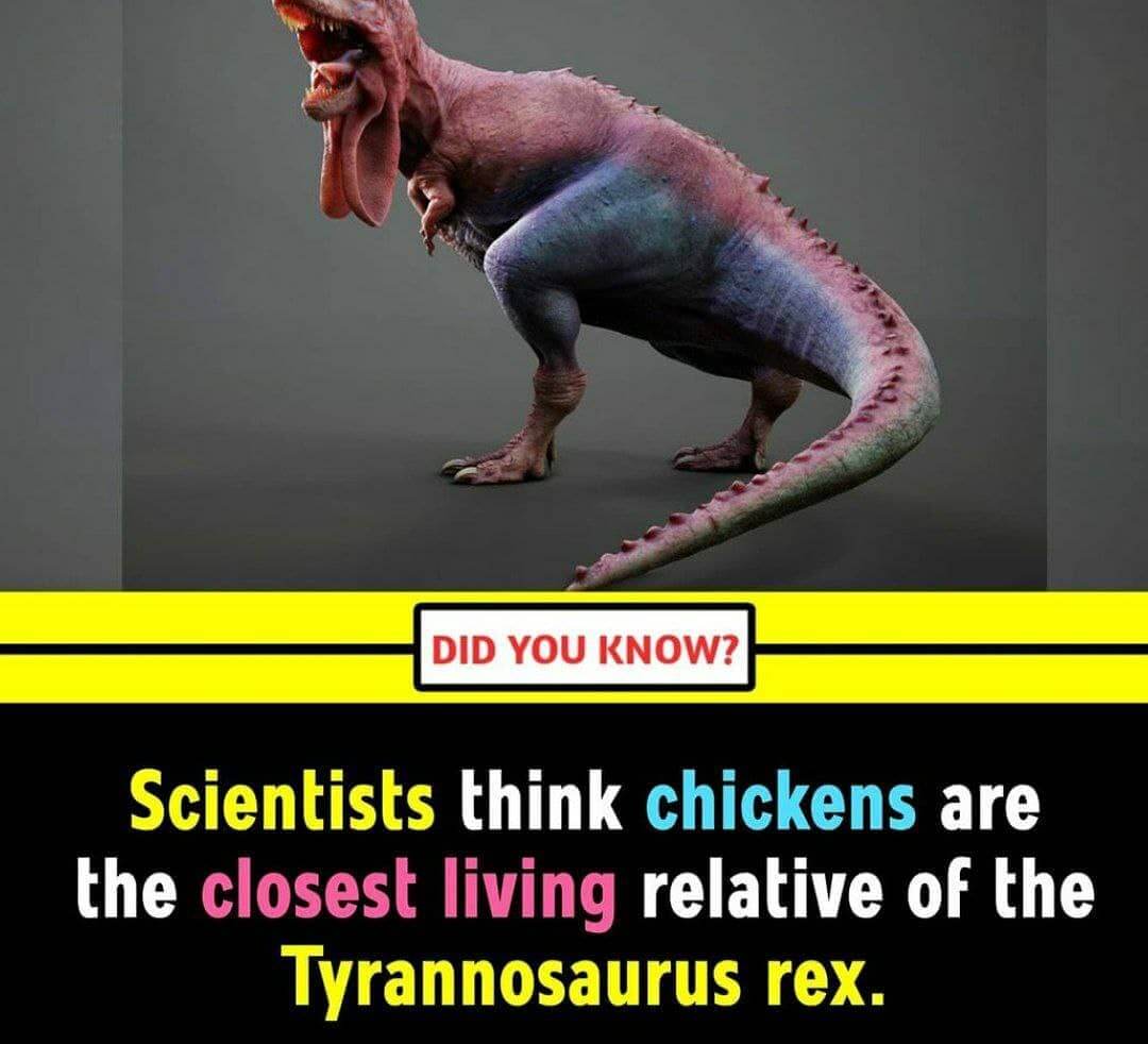 100+ Amazing Facts in English for Students - Unbelievable but True Facts